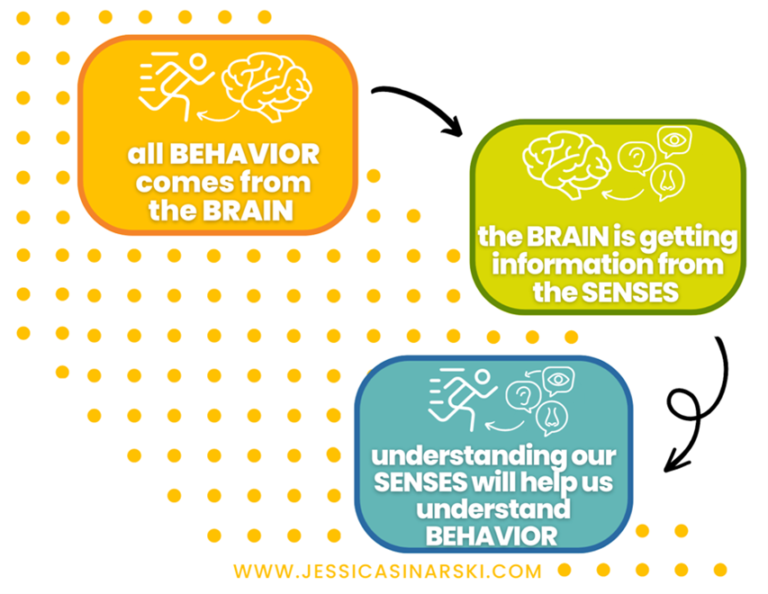 Guest Post: SEL and the Senses - Savvy School Counselor